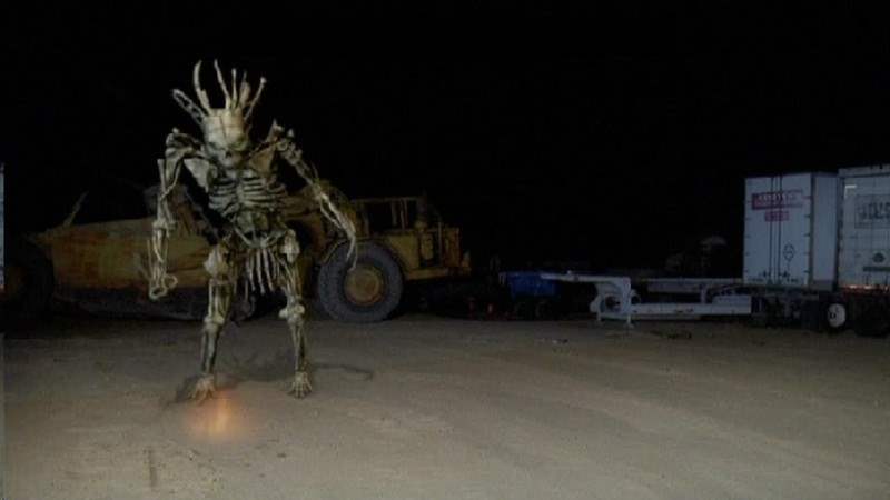 Cult Corner: Bone Eater - Wicked Horror