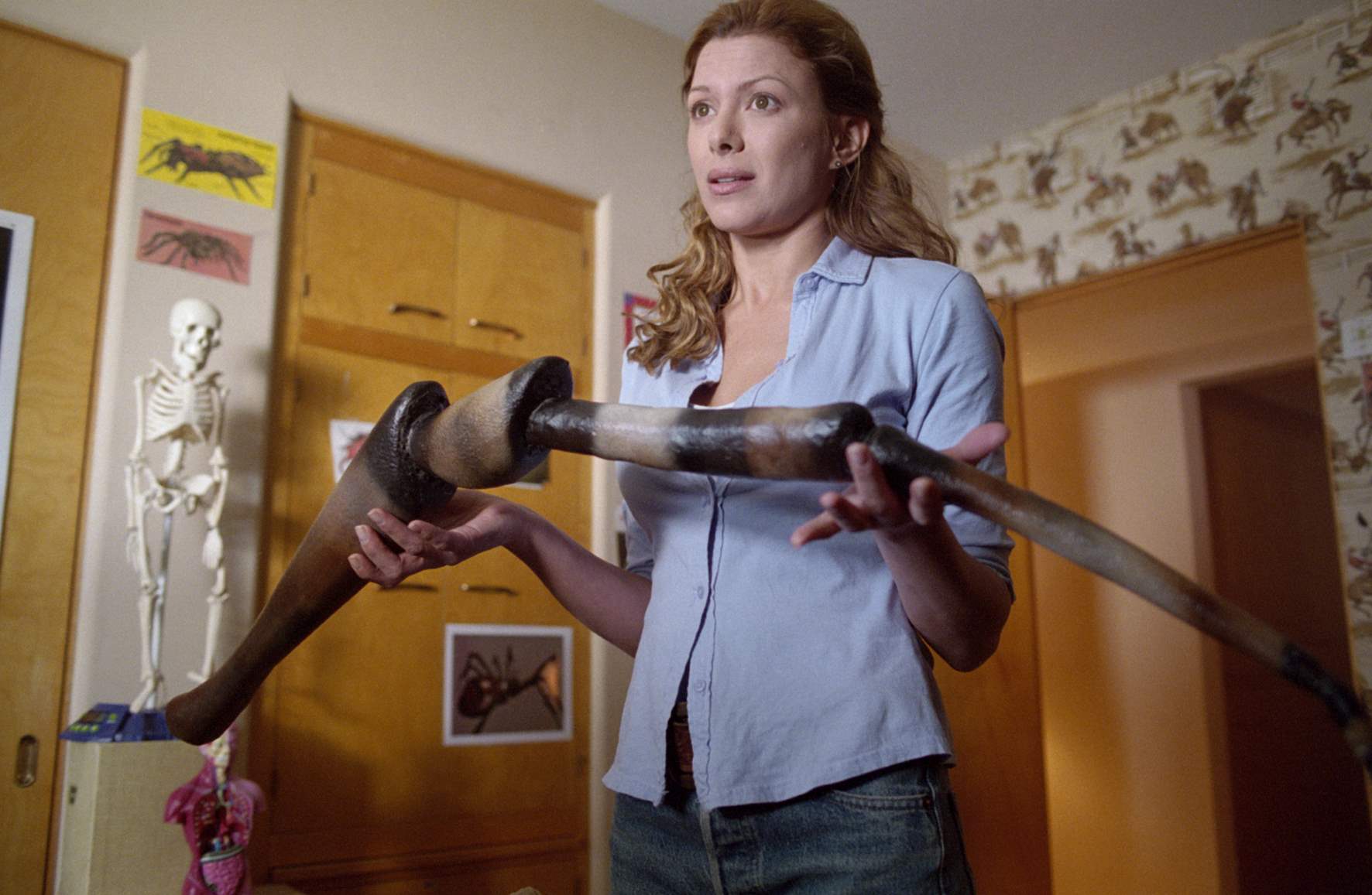 Noteworthy Heroines of Horror: Sam from Eight Legged Freaks - Wicked Horror