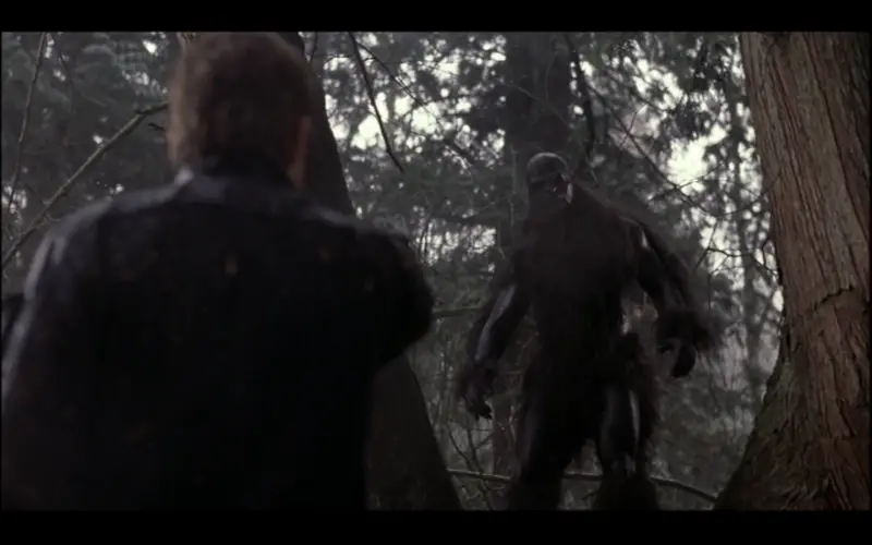 Cult Corner: Sasquatch (2002) - Wicked Horror