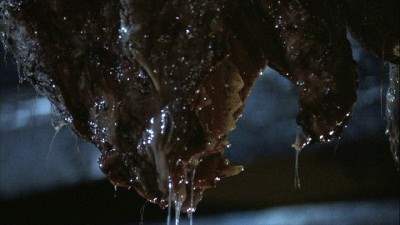 Script to Pieces: Tom Savini's Graveyard Shift - Wicked Horror