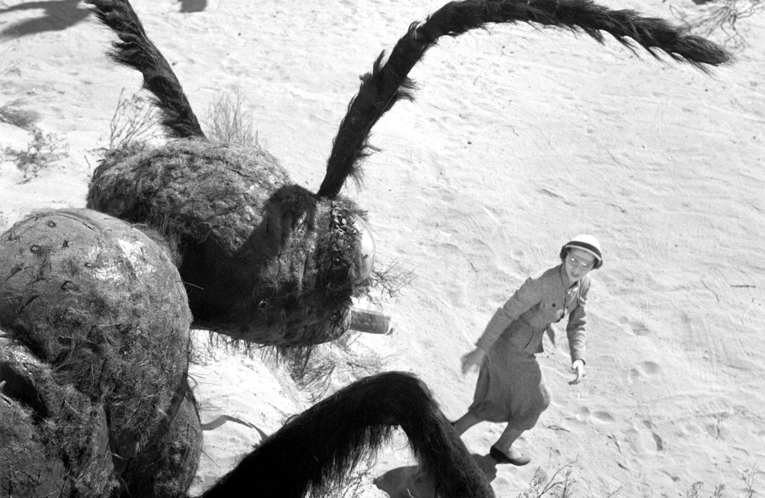 Bug-Themed Horror Movies That Get Under Your Skin